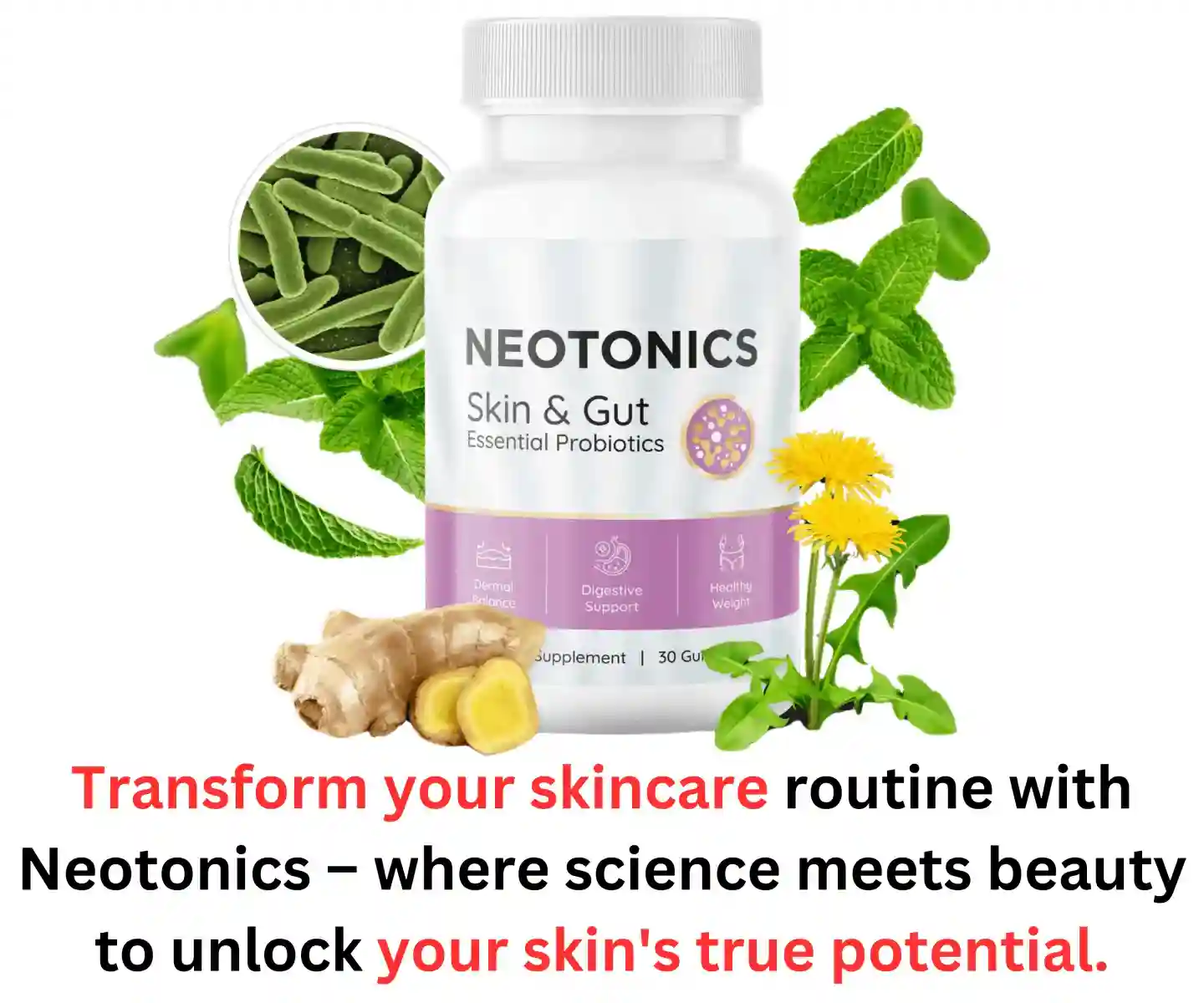 Neotonics™ | OFFICIAL WEBSITE